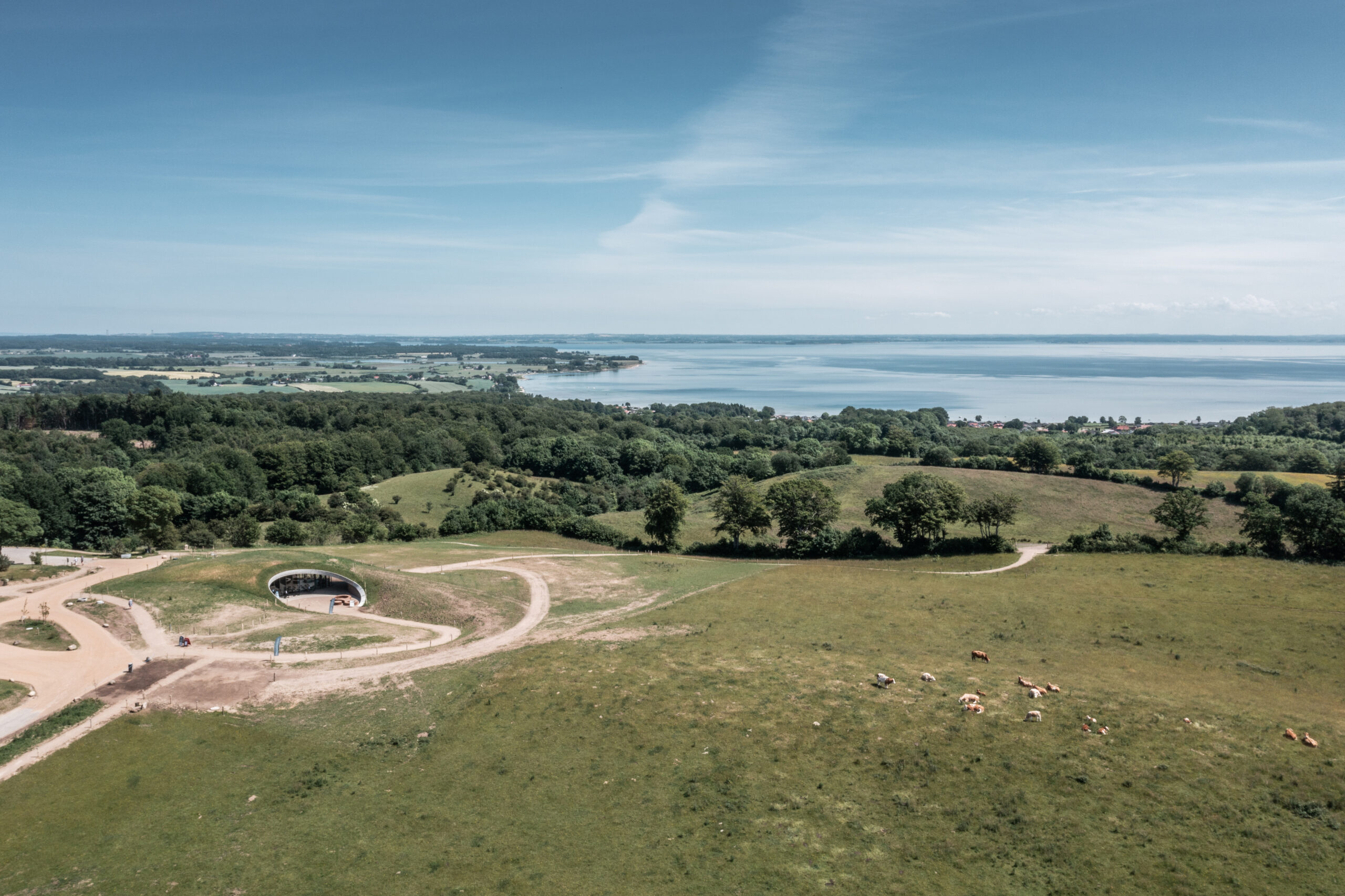 Årsrapport - Museum | Kolding